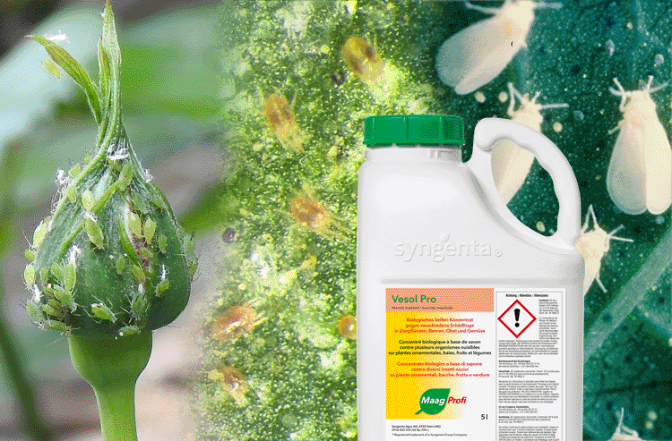 Vesol Pro – ein weiteres biologisches Produkt ergänzt unser Sortiment ...